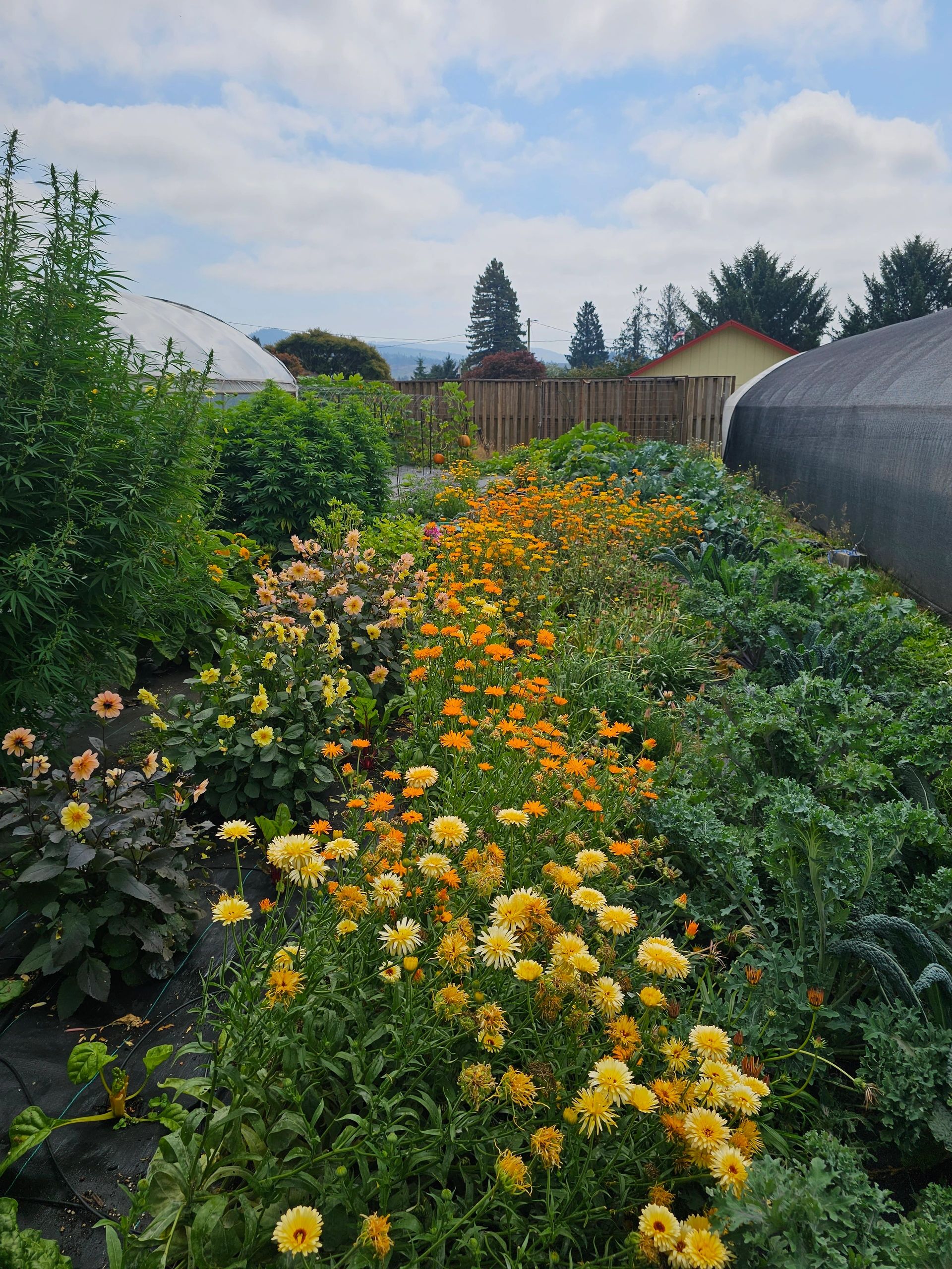 Brickyard Farms